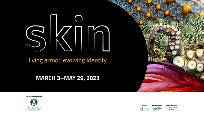 Skin: Living Armor, Evolving Identity Opens at Science World on March 3