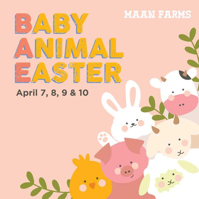 Maan Farms Easter Events 2023 - BAE Days + Bunnies & Booze