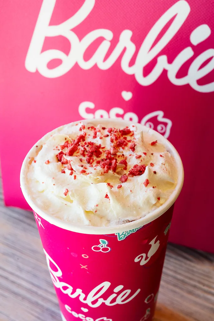 Barbie x CoCo Canada Strawberry Dreamer Collab