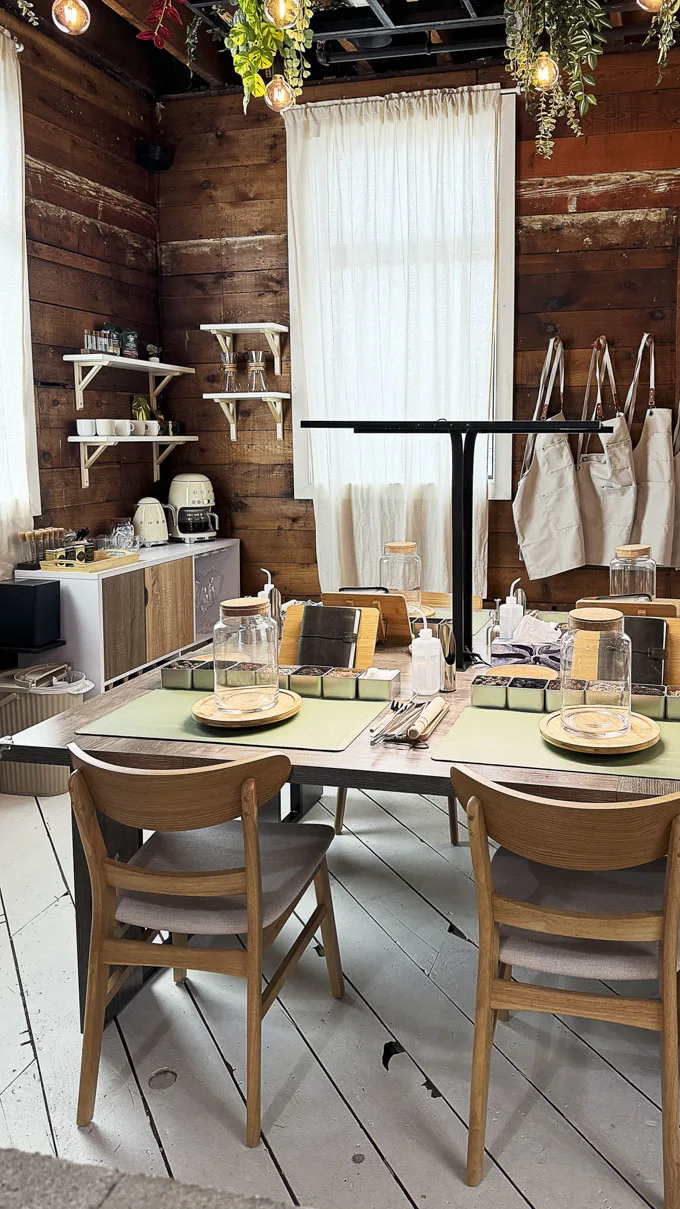 Oasis Terrarium Studio offers classes on how to build a terrarium