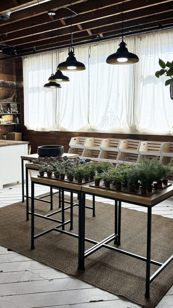 Oasis Terrarium Studio offers classes on how to build a terrarium