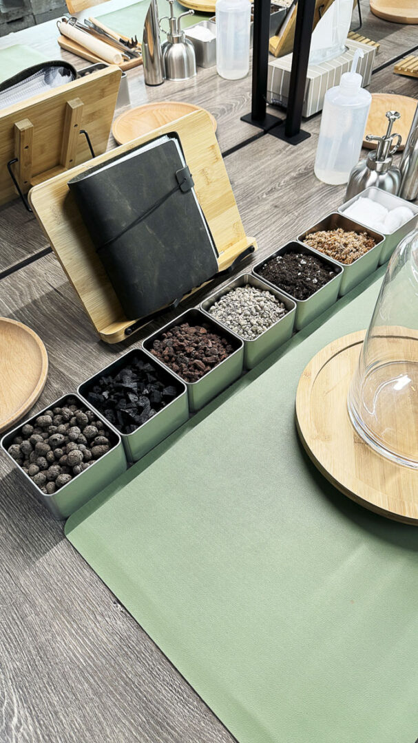 Oasis Terrarium Studio offers classes on how to build a terrarium