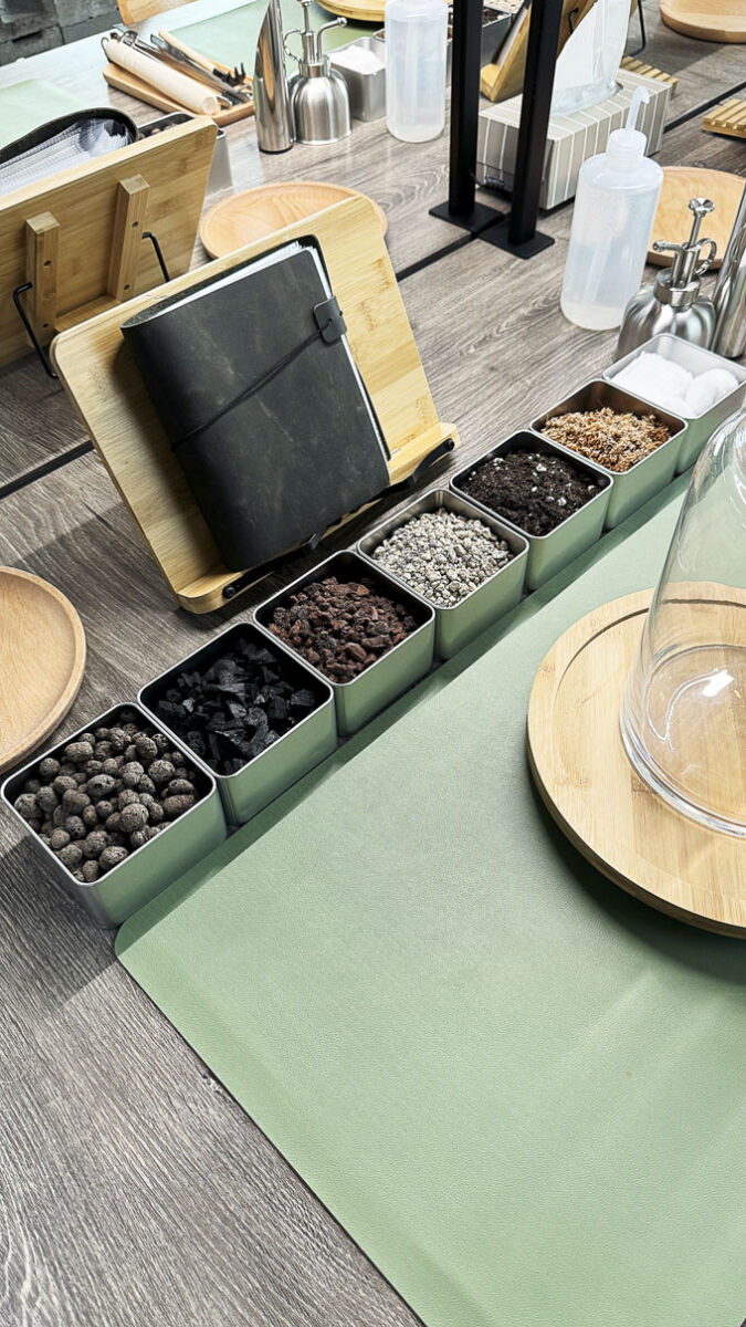 Oasis Terrarium Studio offers classes on how to build a terrarium