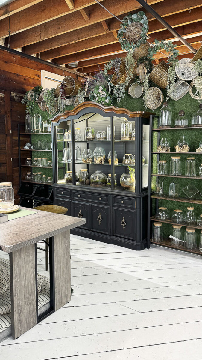 Oasis Terrarium Studio offers classes on how to build a terrarium
