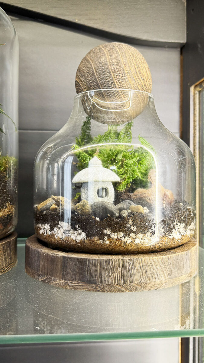 Oasis Terrarium Studio offers classes on how to build a terrarium