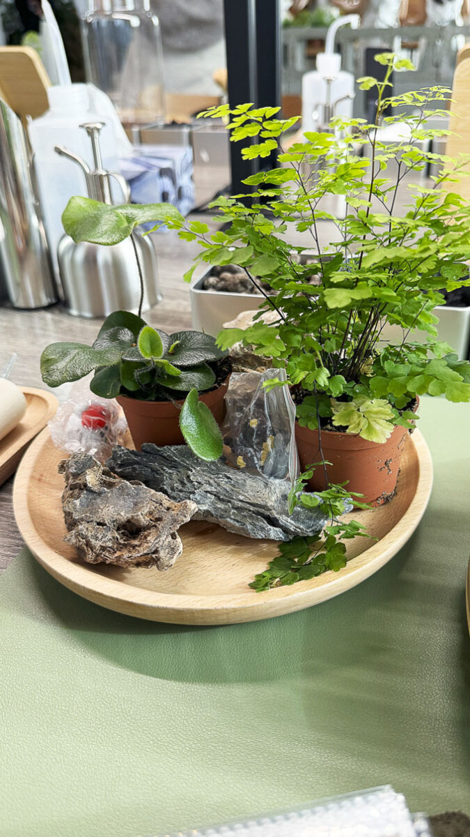 Oasis Terrarium Studio offers classes on how to build a terrarium