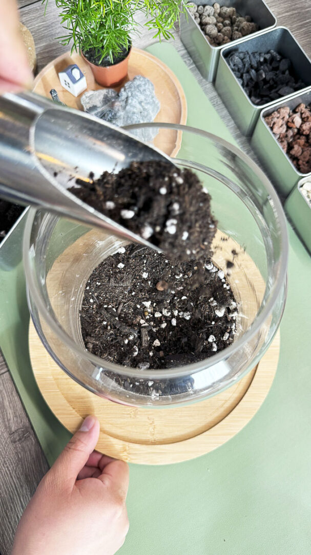 Oasis Terrarium Studio offers classes on how to build a terrarium