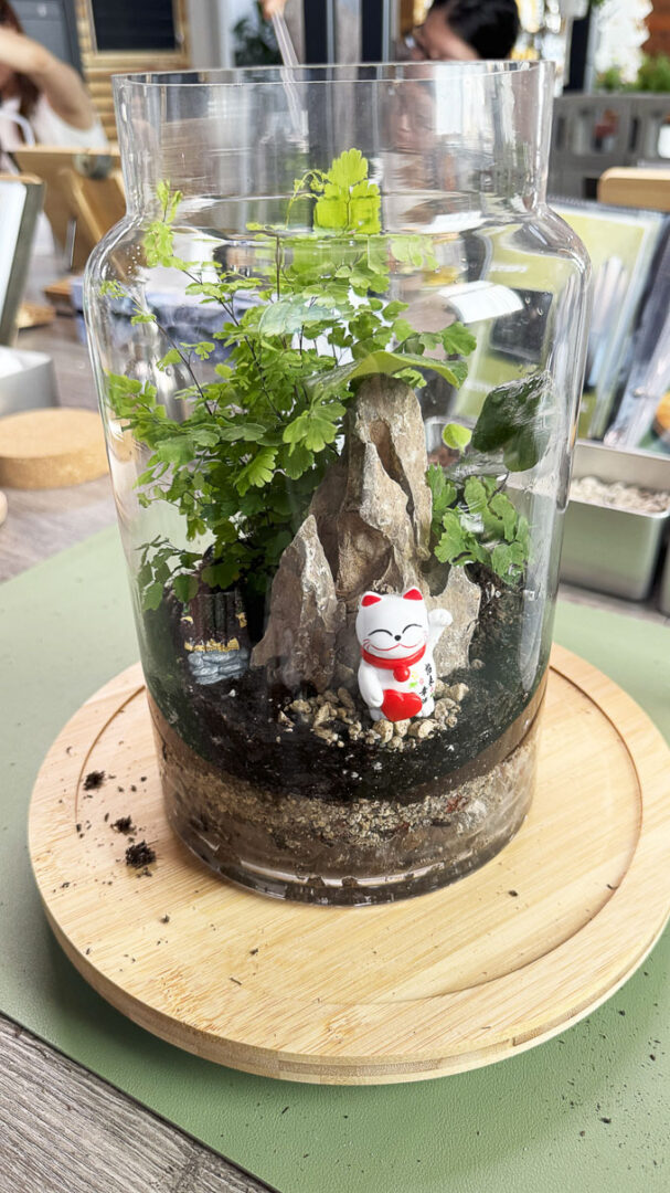 Oasis Terrarium Studio offers classes on how to build a terrarium