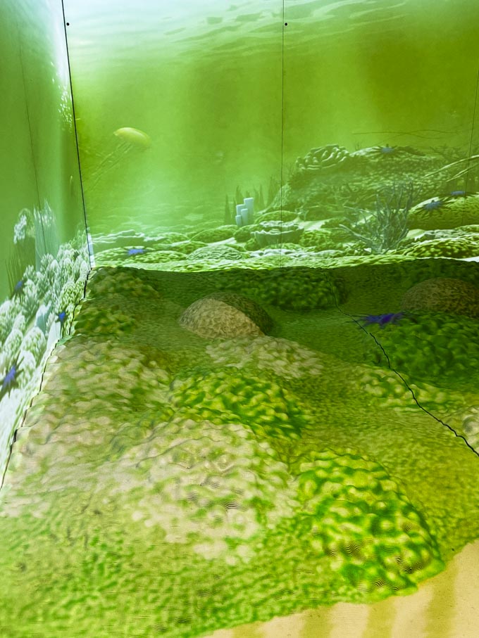 Science World: Earth Matters Exhibit