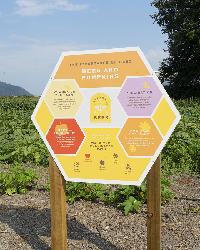 Greendale Acres: Summer Send Off Festival Recap